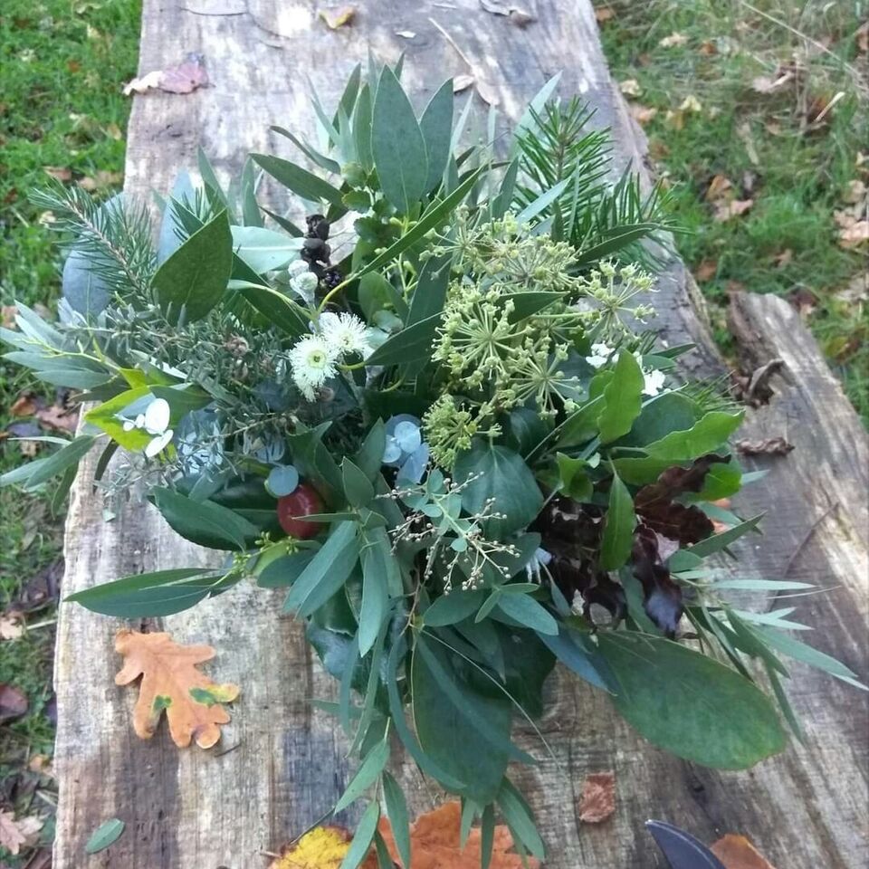 Eucalyptus Foliage